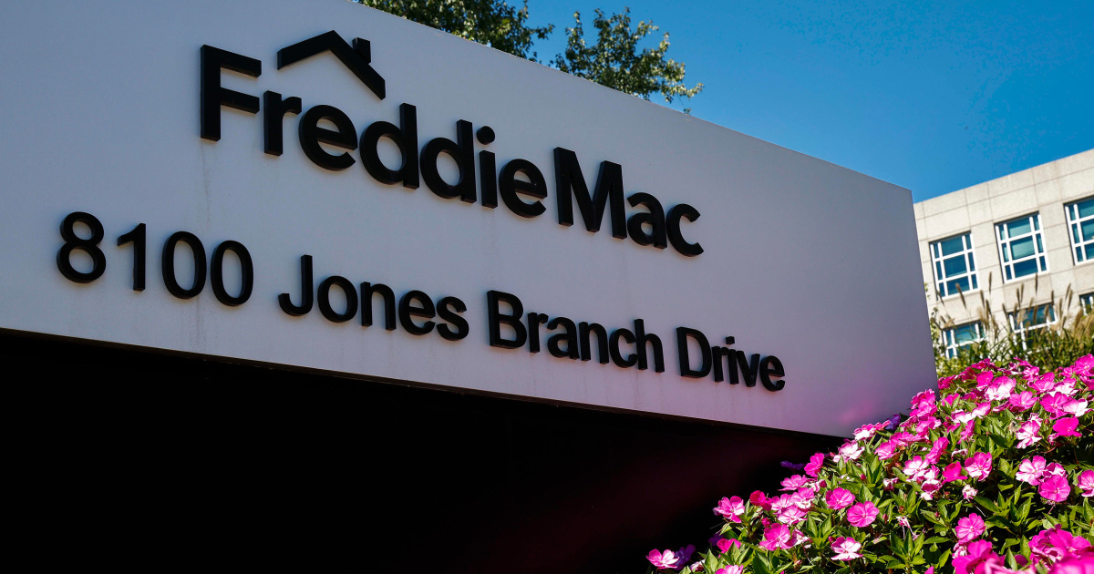 Fannie Mae and Freddie Mac Loan Limits: What the New Director's ...