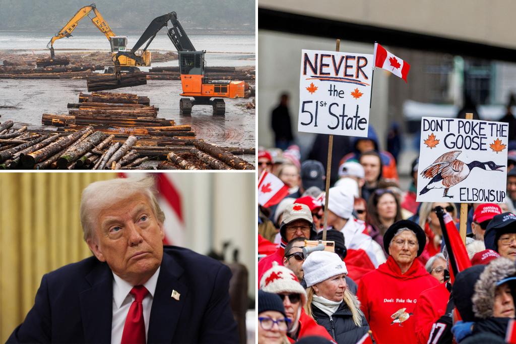Canada on High Alert: The Impending Economic Shock of Trump’s ...